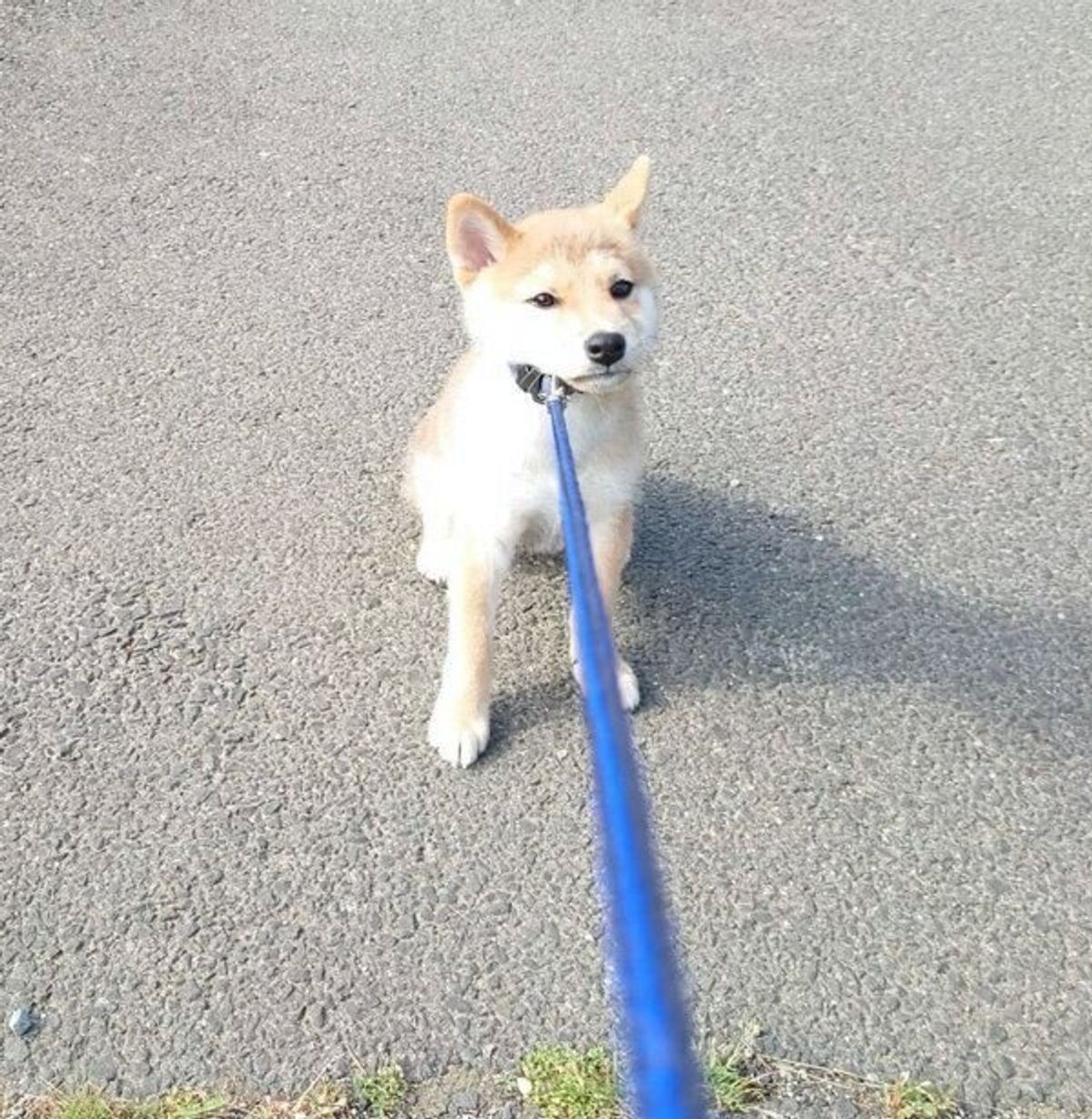 530 旧交を温める - オレンジの会 子ども家庭サポートセンター